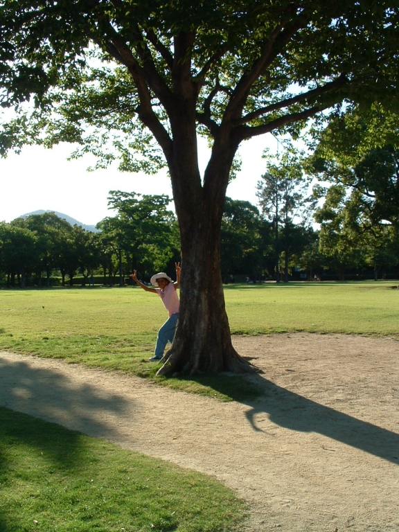 IrfanView HTML-Thumbnails